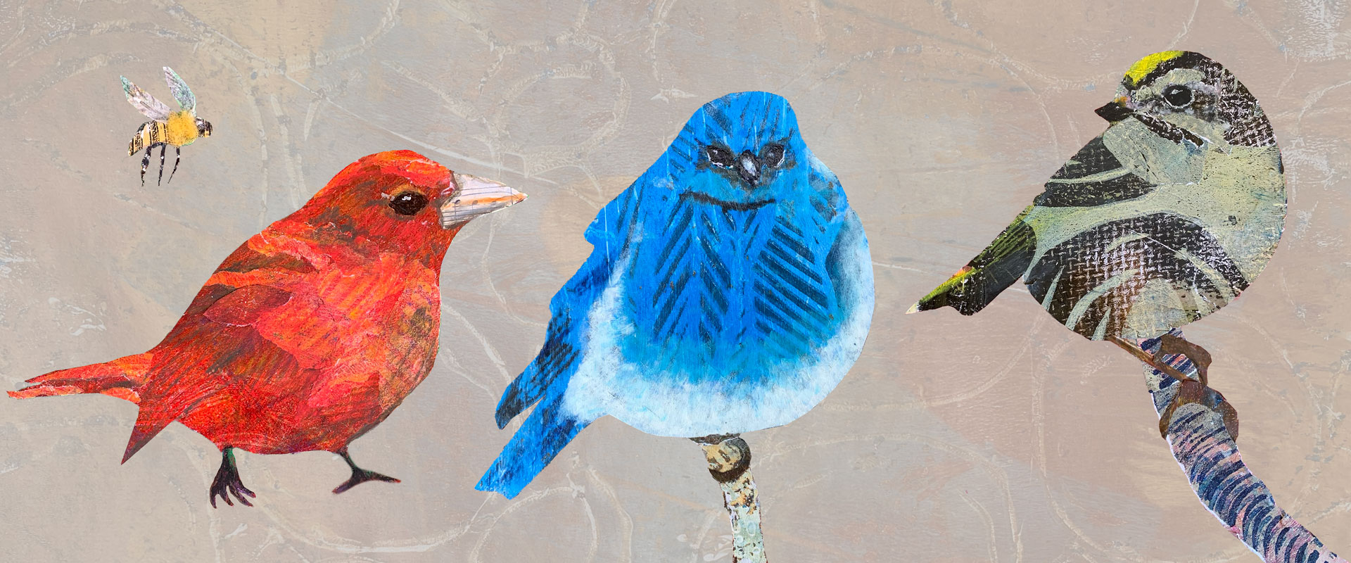 Every Day Borbs - Put a Borb on It!